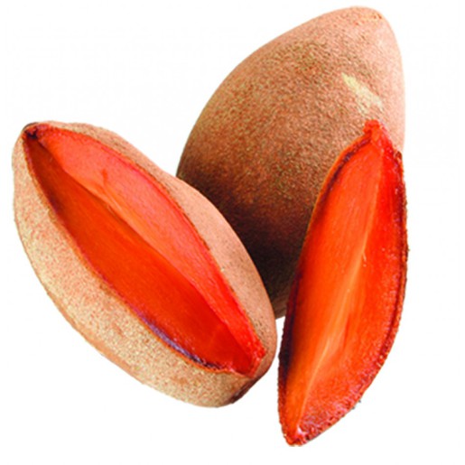Mamey Color